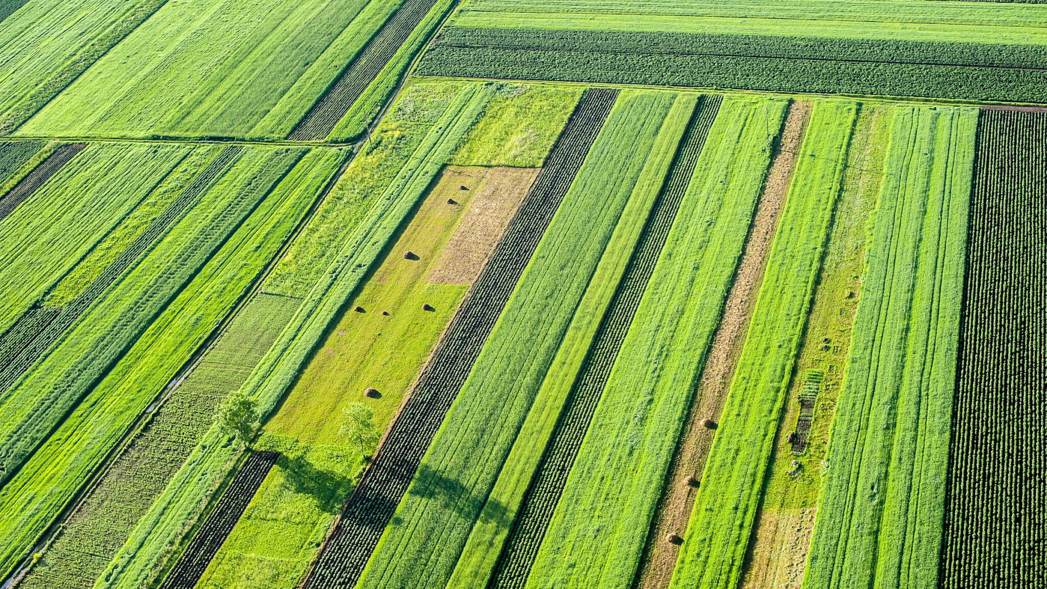 Crop rotation planning – farming.software